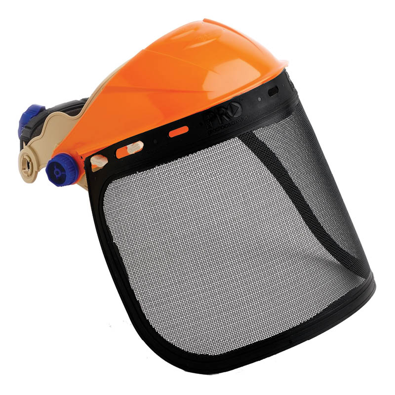 ProChoice browguard & mesh visor