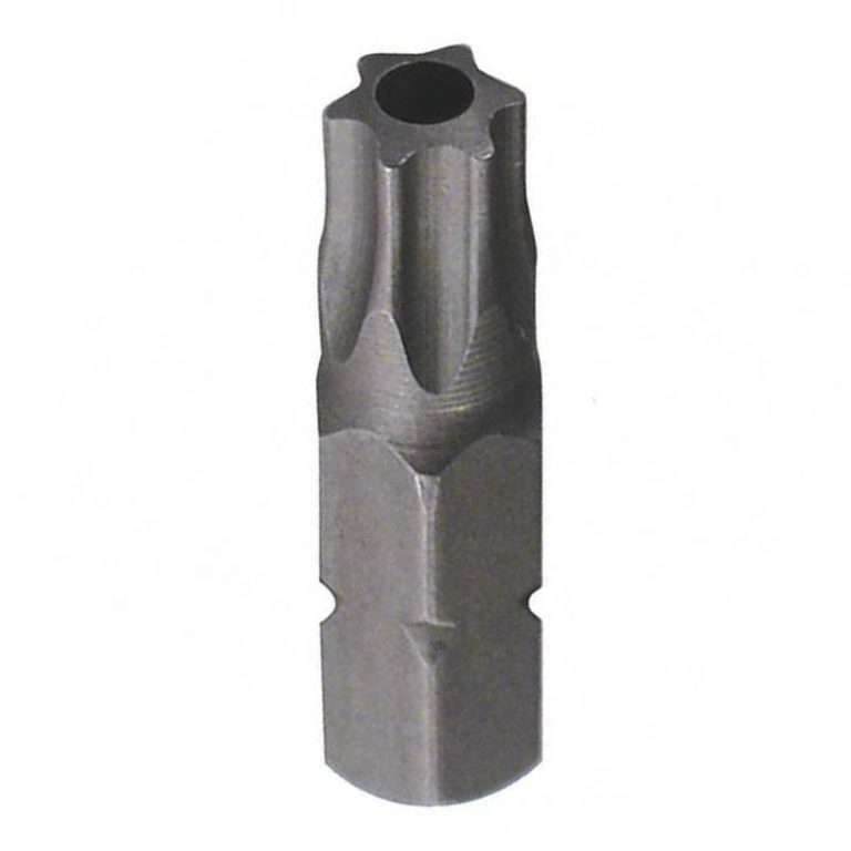 Insert bits - torx drive with security post hole